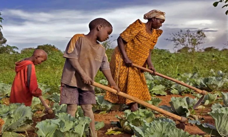 Crise alimentaire en Afrique : de graves indicateurs révélés par l'Unicef et l'Oxfam