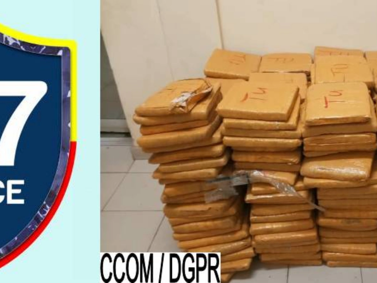 Malanville : 502 plaquettes de chanvre saisies dans un camion de riz